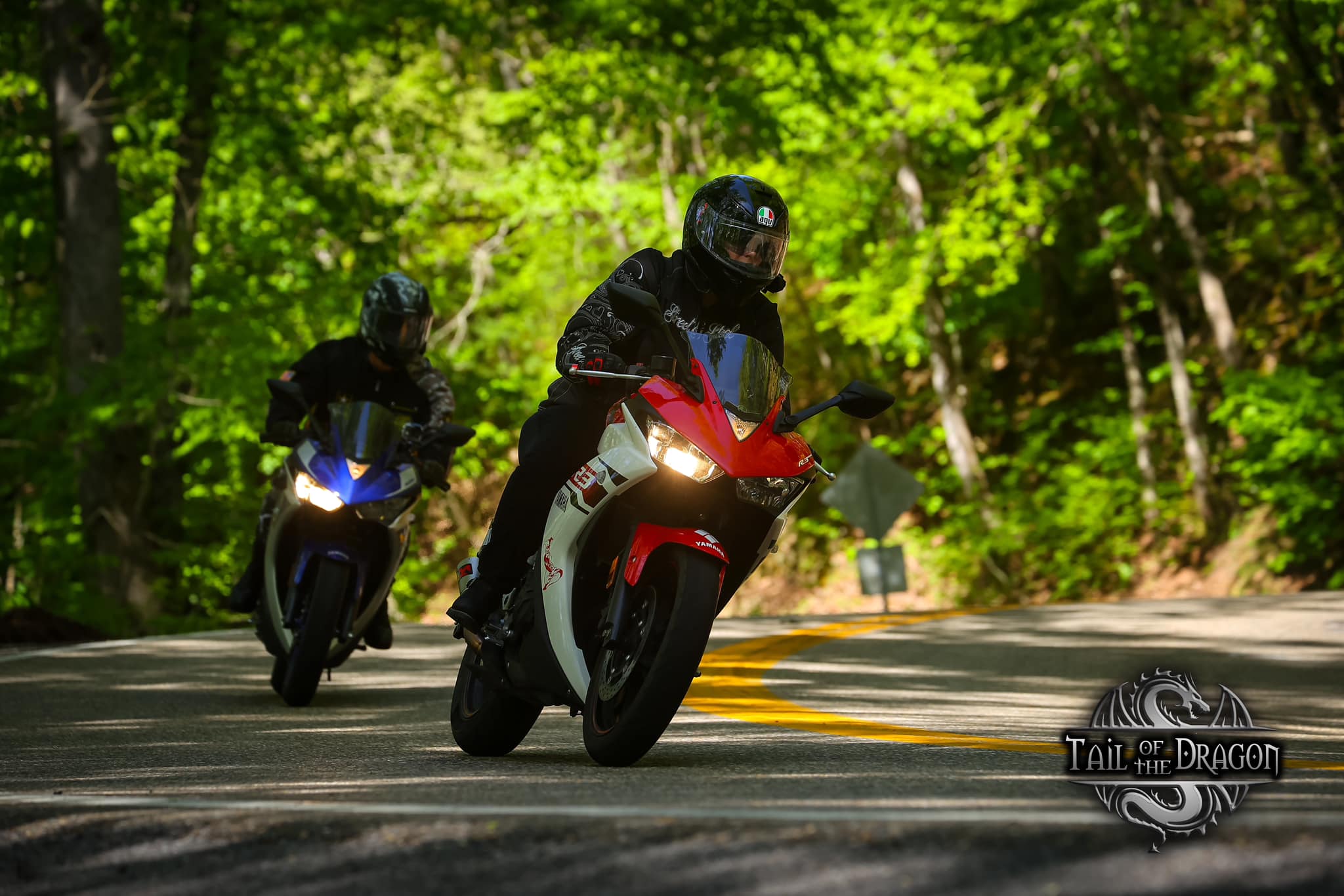 Let’s Ride! – Author Bethany Loughlin-Frost