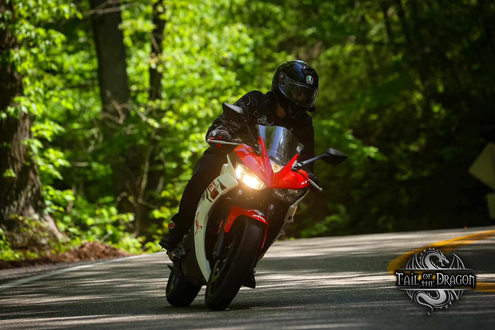 Let’s Ride! – Author Bethany Loughlin-Frost